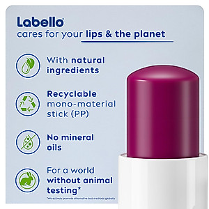 Labello BlackBerry Shine Lip Balm 4,8 g