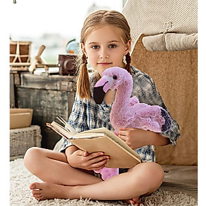 DolliBu Plush Flamingo Stuffed Toys - Super Soft Huggable Flamingo Plush Kit, Adorable Tropical Bird Plush Toys, Cute Flamingo Cuddle Gifts for Kids and Adults - 2 Pack