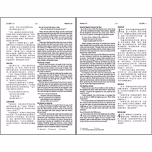 CCB (Simplified Script), NIV, Chinese/English Bilingual Bible, Hardcover, Black/Gold (Chinese Edition)