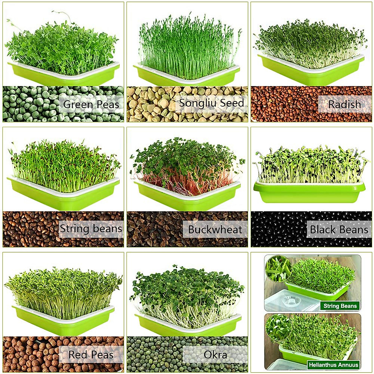 SUNPRO 2-Pack Seed Sprouter Tray BPA Free PP Soil-Free Big Capacity Healthy Wheatgrass Grower Sprouting Container Kit with Lid (2, Green)