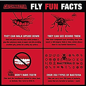 Catchmaster Fly Trap Bundle, Fly Ribbon 20-Pack & Outdoor Fly Jar, for Garage, Backyard, Pool, Patio & Camping