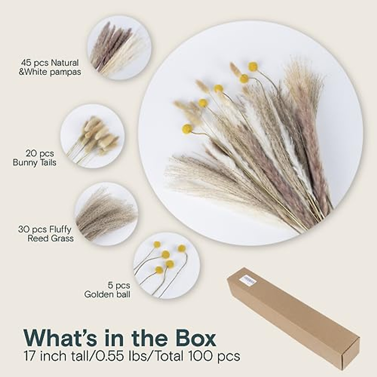 Luxclub Dried Pampas Grass Decor, 100 PCS 17 Inch Pampas Grass, Fluffy Bunny Tails Dried Flowers, Reed Grass Bouquet, Natural White Pompas for Wedding, Floor Vase Boho Flowers Home Decor Decorations