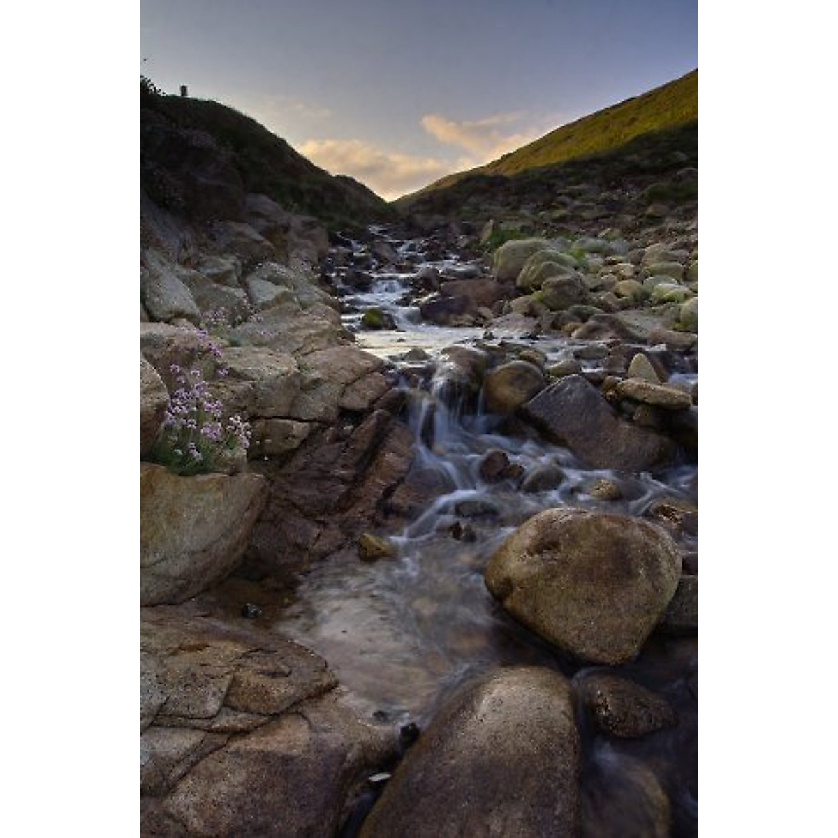 Sigma SD15 14MP X3 FOVEON CMOS Digital SLR with 3.0 inch LCD