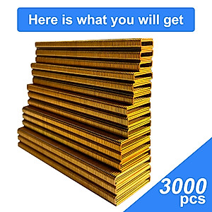 SimCos 18 Gauge 1/4" Narrow Crown Staples (1-1/2",1-1/4" 1", 3/4", 1/2"), Galvanized Assorted Sizes for 18 GA Pneumatic or Electric Stapler or Staple Gun,Project Pack (Assembly 3000)