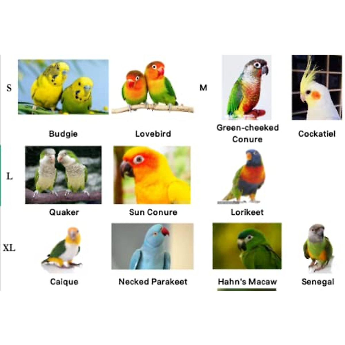 Pet Parrot Bird Harness Leash Adjustable Bird Flying Harness Traction Rope with Cute Wing for Parrots Pigeons Budgerigar Lovebird Cockatiel Mynah Outdoor Training Toy (S, Blue)