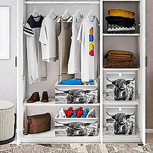 WELLDAY Storage Basket Highland Cow Foldable 11 x 11 x 11 in Cube Storage Bin Home Decor Organizer Storage Baskets Box for Toys, Books, Shelves, Closet, Laundry, Nursery