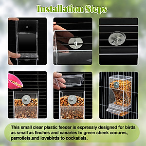 Rypet No Mess Automatic Bird Feeder Transparent Food Container Cage Acrylic Parrot Feeder Accessories for Small Birds Parrot Cockatoo Canary