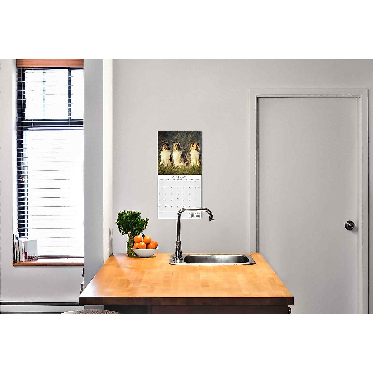 2023 2024 Collie Calendar - Dog Breed Monthly Wall Calendar - 12 x 24 Open - Thick No-Bleed Paper - Giftable - Academic Teacher's Planner Calendar Organizing & Planning - Made in USA