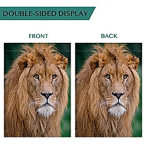 Uanvaha Lion Garden Flag Double Sided Brown Lion Head King African Grass Wild Animal Nature Welcome Small Yard Flag Seasonal Outside Decor Yard Farmhouse 12.5X18 Inch