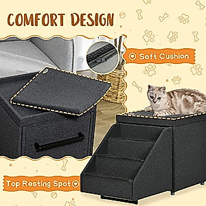 PawHut 2-in-1 Cat & Dog Steps for Bed, Living Room Storage & Footrest, Cat & Dog Stairs for Small and Medium Dogs, Pet Steps Storage Ottoman, Cat Stairs for Old Cats and Large Cats, Gray