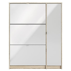 Pemberly Row Modern Engineered Wood Multi-Color 3 Drawer Shoe Cabinet & Door