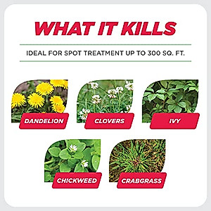 Earth's Ally Weed and Grass Killer | Safe, Pet-Friendly Natural Weed Control Spray for Patios, Driveways & Sidewalks, Ready-to-Use 24oz - Bee Safe, No Glyphosate Weed Killer