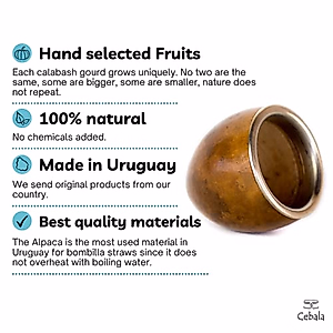 Cebala | Premium yerba mate cup (Mate gourd set) - Uruguayan mate (torpedo mate style)- Includes nickel silver bombilla straw and calabash mate cup