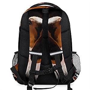 Herdesigns Custom Beagle Puppy Dog Backpack for Men Women with Name Personalized Cute Animal Dog School Bookbag Backpacks Customized Travel Casual Daypack Laptop Bag