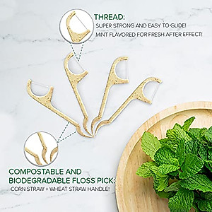 Natural Dental Floss Picks - Eco Friendly Cruelty Free & Vegan Tooth Flossers Pick Set with Biodegradable and Compostable BPA Free Handle & Zero Waste Packaging - 200 Pack (Mint Flavored)