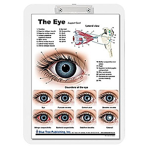 Eye Insert clipboard