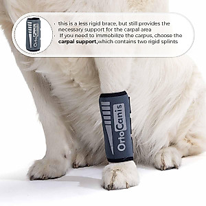 Ortocanis - Dog Leg Brace - Front Leg Brace for Dog - Arthritis, Ligament Injuries, Tendon Injuries or Agility Dogs - Promotes recovery, Stabilizes, and Reduces Pain - Made of Neoprene - Size L 17 - 19 cm