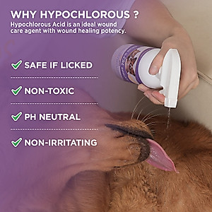 HICC PET Itch Relief Spray & Hot Spot Treatment for Dogs Cats 16.1 Fl Oz