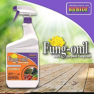 Bonide Products 4410 Ready-to-Use Fungicide, 32-Ounce, Pack of 3