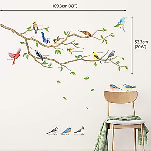 DECOWALL DWL-2015 Garden Birds Wall Stickers Wall Decals Peel and Stick Removable Wall Stickers for Kids Nursery Bedroom Living Room