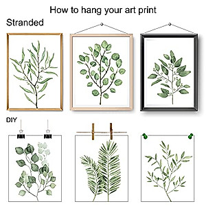 Tevxj 9PCS Botanical Plant Wall Art Prints Green Plant Wall Decor Boho Herb Wall Decor Pictures Minimalist Wall Art Photo Prints for Living Room Kitchen Leaves (8"x10", Unframed)