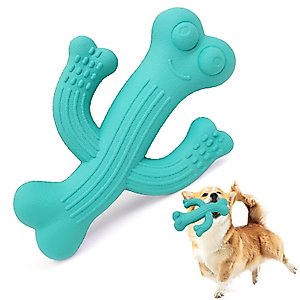 Medlladle Dog Chew Toys Cactus for Aggressive Chewers Small Breed, Indestructible Tough Dog Toys for Puppies Teeth Cleaning, Pet Toy with Durable Natural Rubber