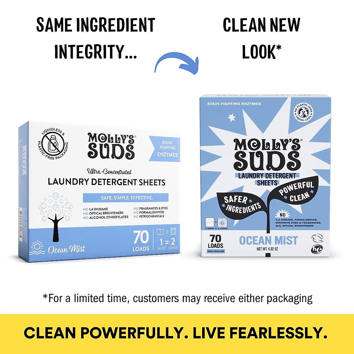 Molly’s Suds Laundry Detergent Sheets | Gentle on Sensitive Skin, Powerful Bio-Based Enzymes, Stain-Fighting | Liquidless & Plastic-Free Packaging | 120 Loads (Ocean Mist)