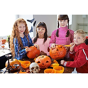 MOLLDAN Girls Dance Leotard Team Basic Long Sleeve Ballet Wear for Toddlers(2-3028-08-XL)