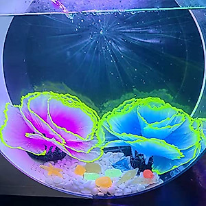 Livfodrm Glowing Fish Tank Decorations Glow Aquarium Decor Coral Ornaments, 2pcs Silicone Flower Plants and 10pcs Colourful Sea Shells/Luminous Stone Glow in The Dark for Aquarium Decoration