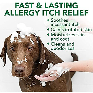 Vet's Best Allergy Itch Relief Dog Shampoo | Cleans and Relieves Discomfort from Seasonal Allergies | Gentle Formula | 16 Oz