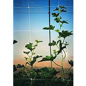 Tenax 100521793 Hortonova SM Plant Trellis Net, 48" x 328' White