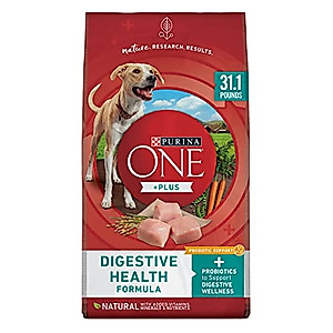 Purina ONE Dog Digestive Support, Natural Dry Dog Food, +Plus Digestive Health Formula - 31.1 lb. Bag