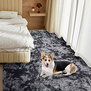 Luxury Shag Area Rug, 5X8 Ft Indoor Ultra Soft Plush Rugs for Living Room, Carpet for Teens Dorm Nursery Home Decor Aesthetic, Upgrade Anti-Skid Durable, Tie Dye Black and Grey