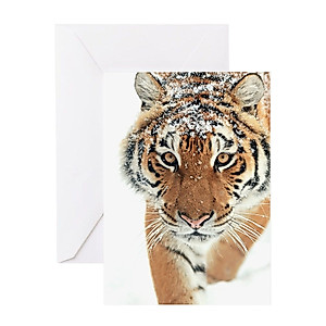 CafePress Snow Tiger Greeting Cards Folded Greeting Card Glossy
