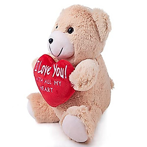 GSUIVER 10" Valentine's Day Valentines Gift for Children Kids, Girlfriend, Boyfriend, Plush Stuffed Animal (I Love You with All My Heart)