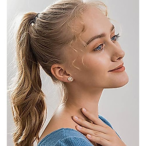 Minimalist Lion Head Stud Earrings Stainless Steel Hollow Animal Crown Pierced Studs Earring Fashion Jewelry for Women Teen Girls BBF Hypoallergenic (Rose Gold)