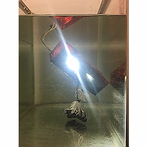 MAXXHAUL 70468 Trailer Light Kit - 12V All LED, Rectangular Left and Right Waterproof Submersible for Trailers, Boat Trailer Truck Marine Camper RV Snowmobile