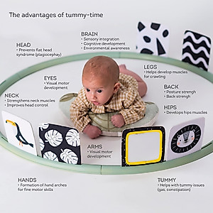 Taf Toys Tummy Time Support for Newborns & Babies, Developmental Activity Center with Detachable Pillow & Toys Encourage Baby’s Senses Development, Fine & Gross Motor Skills & Eye-Hand Coordination