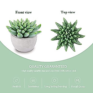 EMOHOME Citronella Aroma Candles, Succulent Candle Set with Terracotta Pots for Home and Party Decor, Festival Presents, Birthday Gifts.Gift.