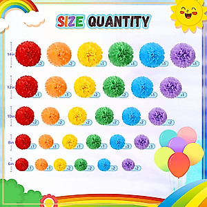 Estune 48 Pcs Tissue Paper Pom Poms 14''/ 12''/ 10''/ 8''/ 6'' Tissue Paper Flowers Decorations for Wedding Birthday Bridal Shower Baby Shower Decor (Rainbow)