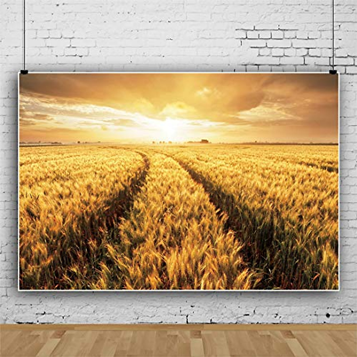 Renaiss 10x8ft Gold Cornfield Backdrop for Photoshoot Yellow Sunshine Clouds Harvest Field Photography Background Photo Booth Live Broadcast Video Prop Portraiture Party Family Gathering Outdoor Decor