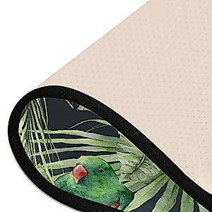 ALAZA Tropical Pattern with Parrots Hibiscus Leaves Runner Area Rug Non Slip Floor Mat for Hallway Entryway Living Room Bedroom Dorm Home Decor 72x24 inches