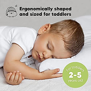 2-Pack Soft Organic Cotton Pillows for Sleeping - 13X18 Small Toddler Kids Pillow for Travel, School, Nap, Age 2 to 5 (Soft White)