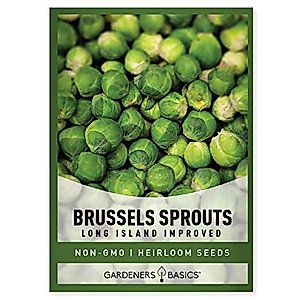 Brussels Sprouts Seeds for Planting - Long Island Improved Heirloom, Non-GMO Vegetable Variety- 800 mg Approx 225 Seeds Great for Summer, Fall, and Winter Gardens by Gardeners Basics