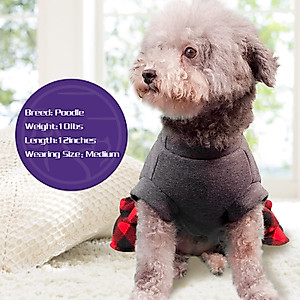 cyeollo Small Dog Dress for Dogs Flannel Warm Dress Skirt with Bowknot New Year Holiday Thermal Winter Pet Clothes Doggie Dog Apparel Outfit Dresses