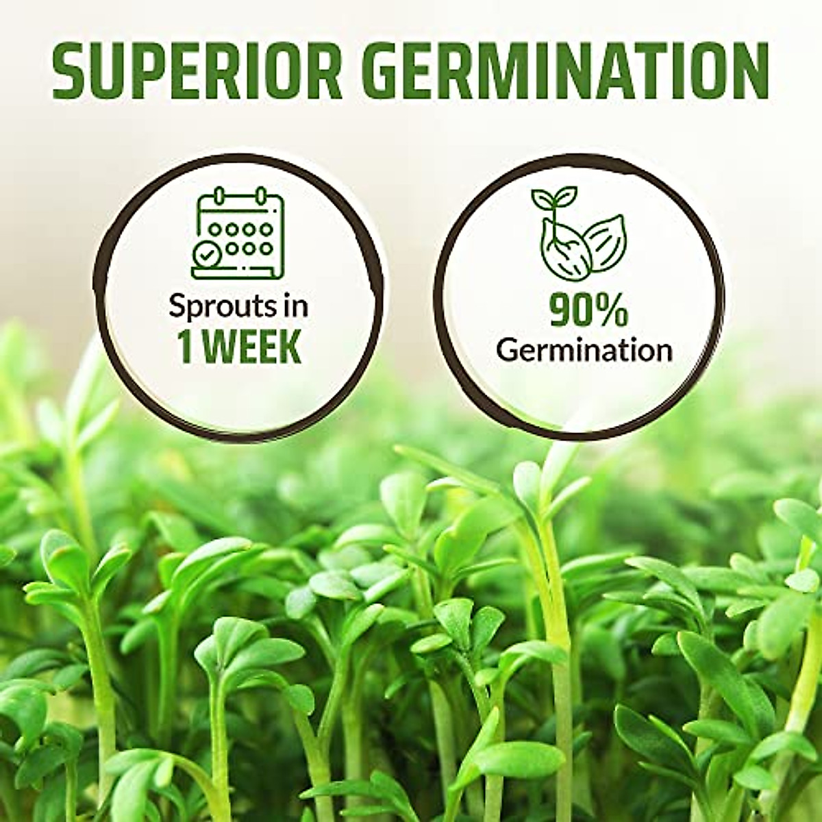 Rooted Acre 8 Varieties Pepper Seeds - Non GMO, USA, Heirloom Hot Pepper Seeds inc Ghost and Jalapeno - High Germinating Pepper Seeds for Planting Home Garden: Serrano, California Wonder, and More