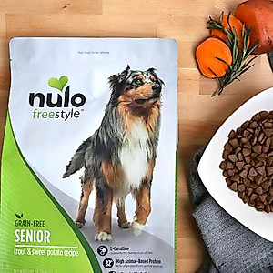 Nulo Freestyle All Breed Senior Dry Dog Food, Premium Grain-Free Dog Kibble with Healthy Digestive Aid BC30 Probiotic and Chonoitin Sulfate for Hip & Joint Support, 6 Pound (Pack of 1)