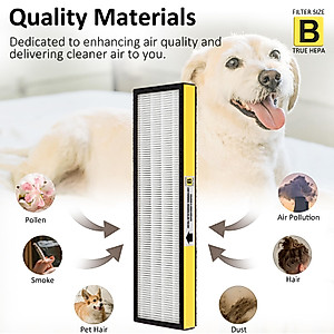 2 Pack FLT4825 True HEPA Filter B Replacement with 6 Activated Carbon Pre-Filters Compatible with Guardian AC4825 AC4300 AC4800 AC4900 AC4850 Air Purifier