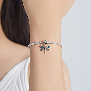 RUKYF 925 Sterling Silver Dragonfly Charms for Bracelets and Necklaces Best Jewelry Gifts for Dragonfly Lovers