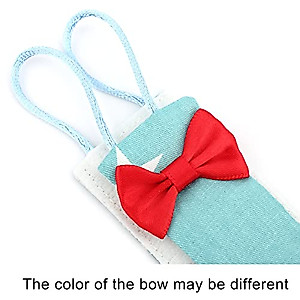 Alfie Pet - Fay 2-Piece Set Bird Diaper with Leash - Color: Beige & Blue, Size: XS
